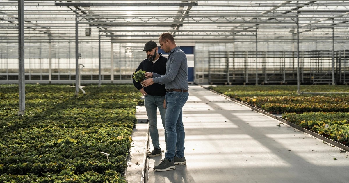 Kweker Master Growers | Heemskerk Flowers